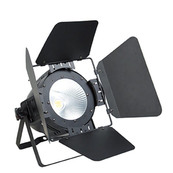100W LED COB Par Light | 100W COB LED Par Stage Lighting